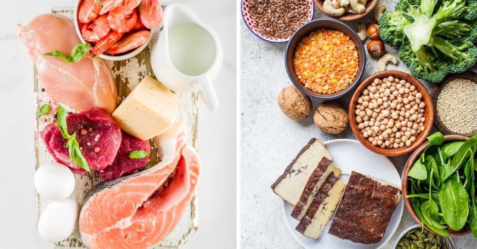 Wajb Tahu! 5 Perbedaan Protein Nabati dan Hewani